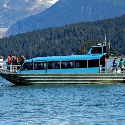 Dolphin Jet Boat Tours | Juneau Whale Watching Tours