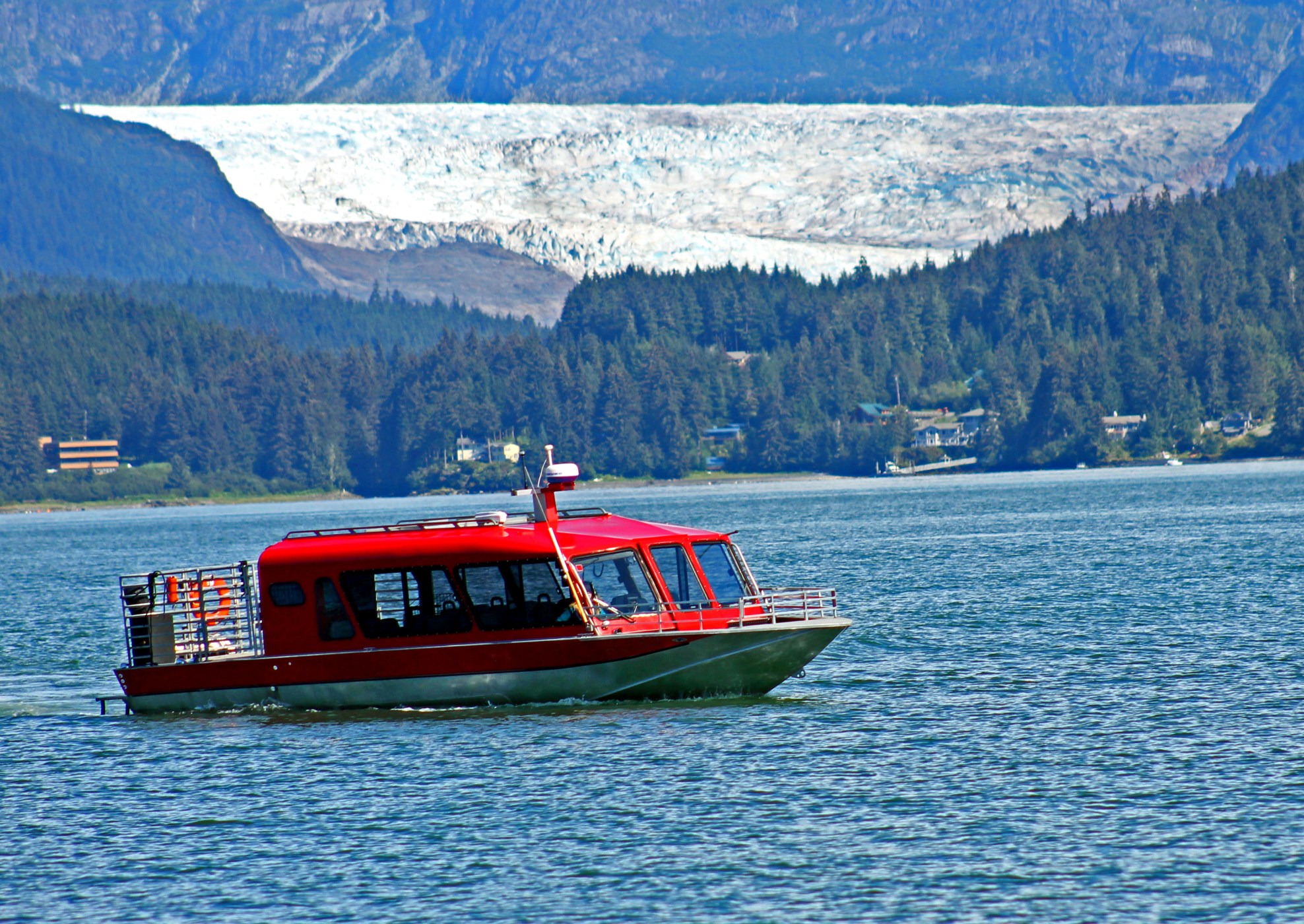 Small-Boat Whale Watching | Dolphin Jet Boat Tours